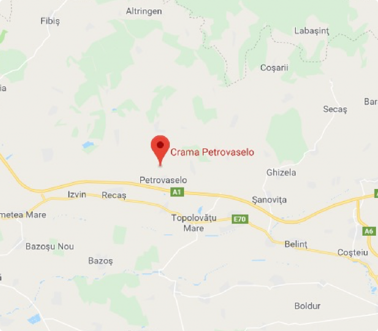 Contact - Petro Vaselo