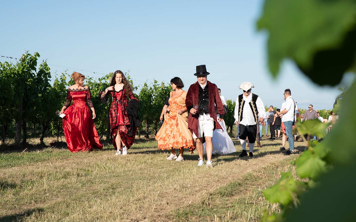 Petro Vaselo Community - Cool Aristocracy - Petro Vaselo